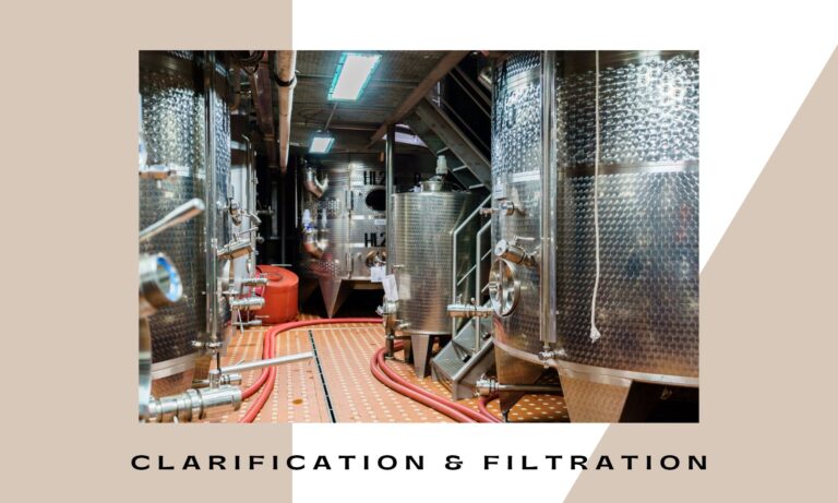 Winemaking: Clarification and Filtration • Belledor Vineyards